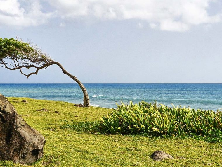 Littoral de Sainte-Rose - Pays Guadeloupe