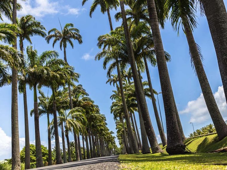 La grotte de l'Anse Castalia - Pays Guadeloupe